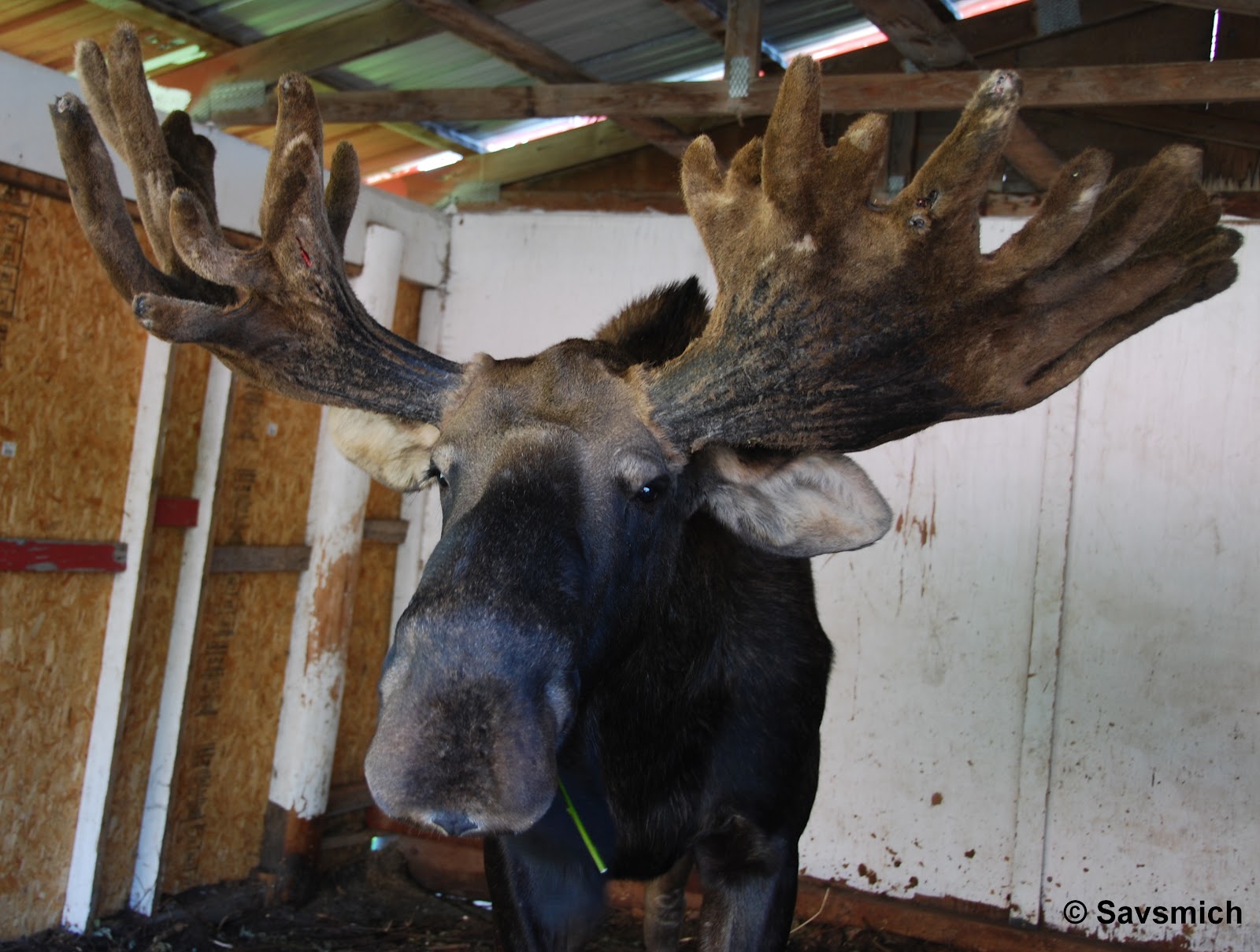 Savio & Michelle's Travel Diary .. A new destination in every page ...