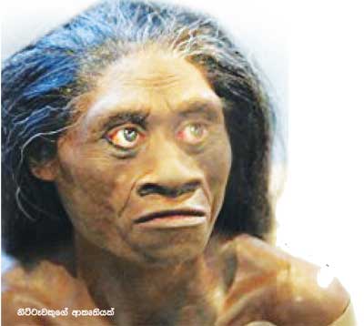 Abirahas Adawiya ....(මුල් පිටුවට පිවිසෙන්න මෙතනින් ) [HOME ...