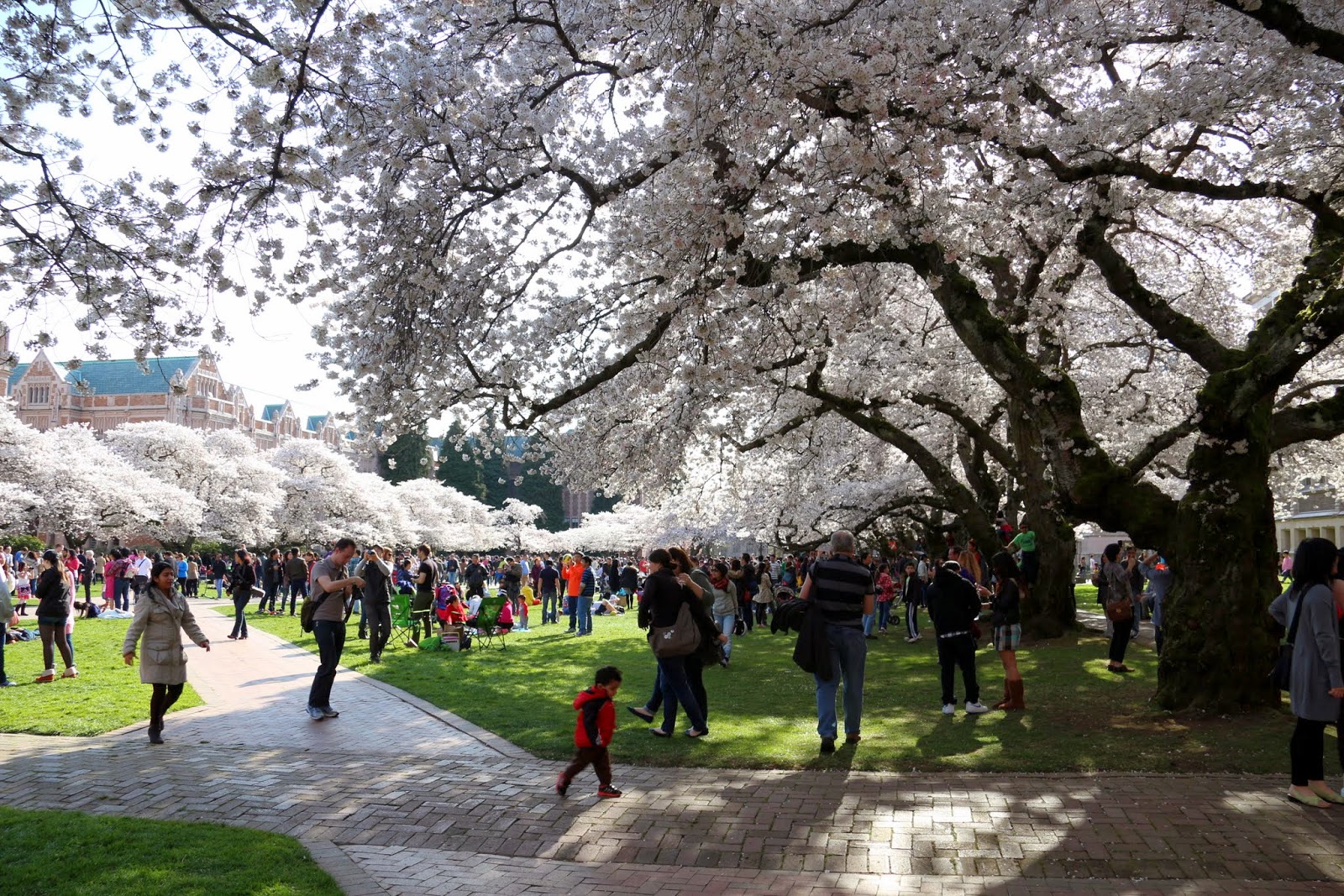 SeattleFlyerGuy's All-Purpose Travel Blog: University of Washington ...