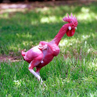 The Featherless Chicken
