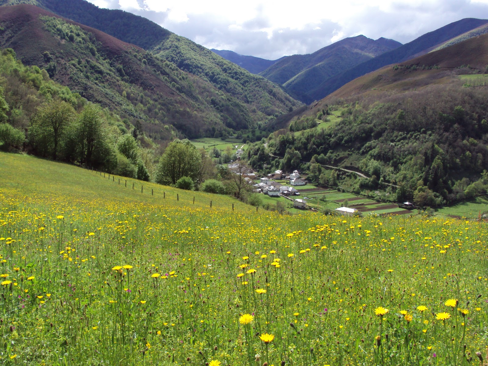 MOAL "Puerta de Muniellos": Moal organizará la 1ª Carrera de Montaña ...