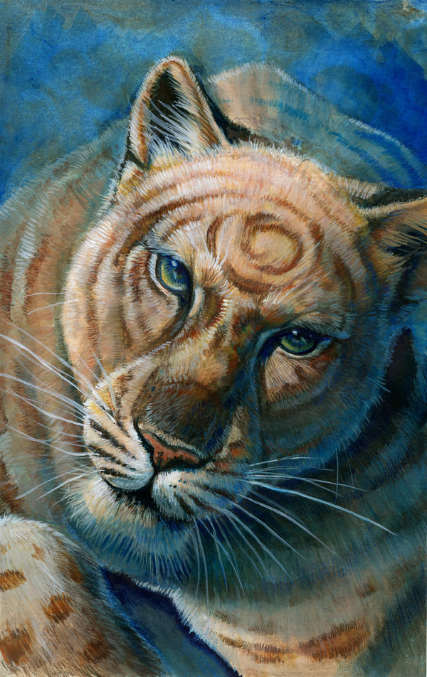 BEAUTY OF WILDLIFE: amazing animal painting