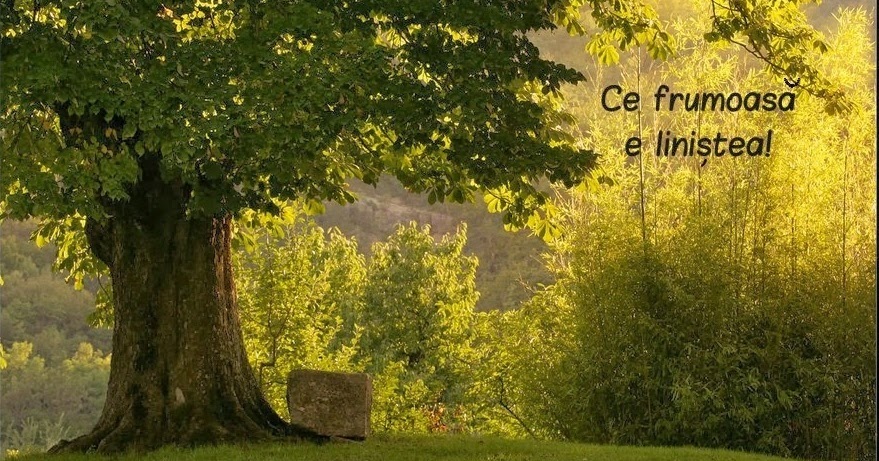 Romantic cu Bucurie si Armonie: Liniste de Simona Barbu