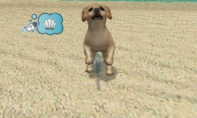 MichiGal: Game Review: Petz Beach for Nintendo 3DS