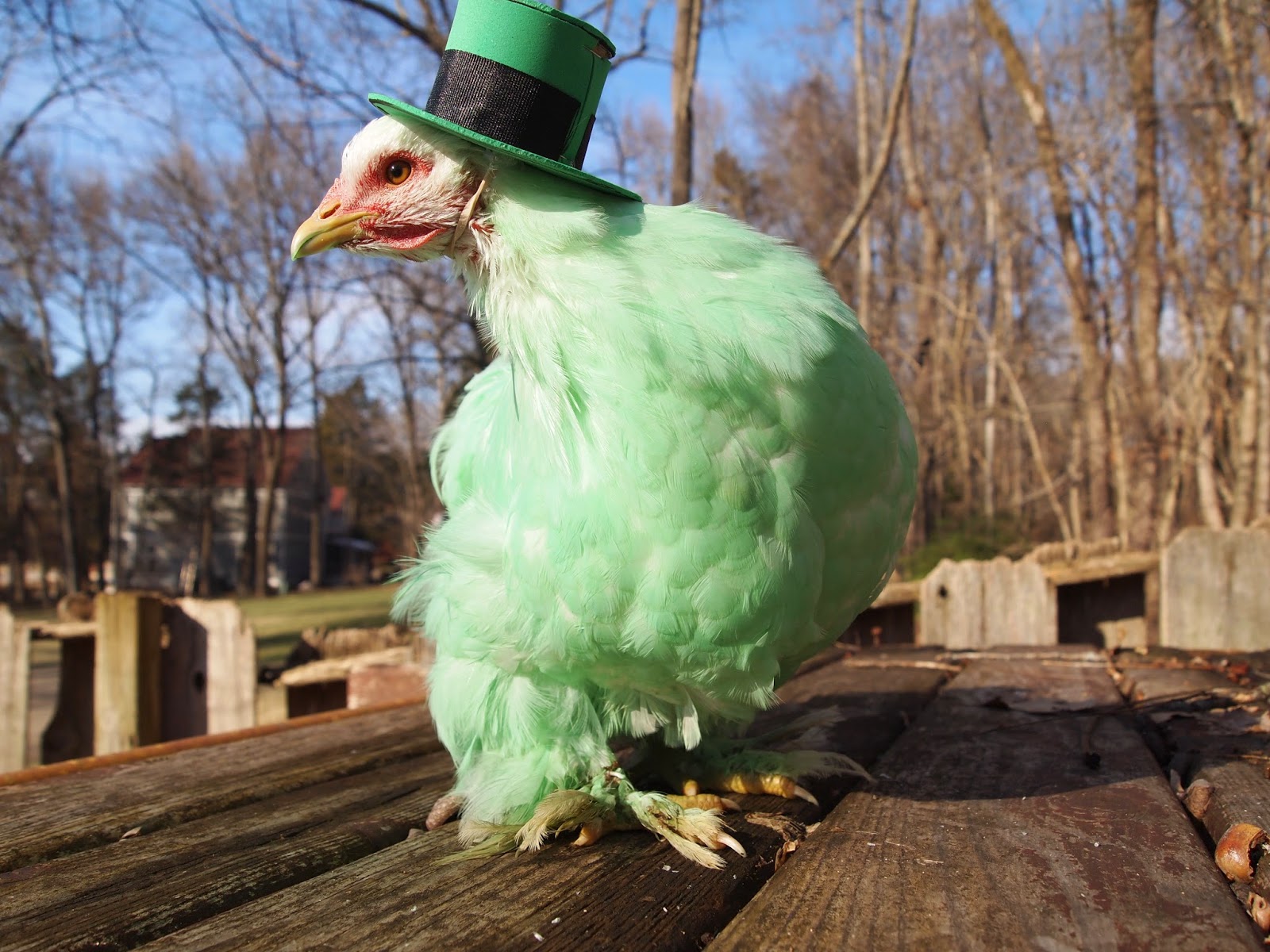 007 Venture Madison AL