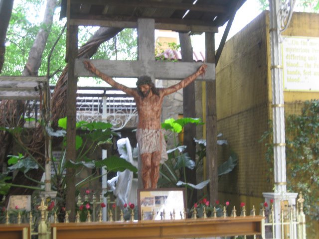 From this side: VISITING ST PIO CENTER IN LIBIS