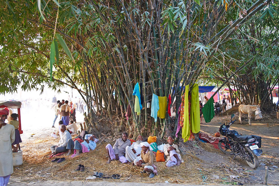 SONEPUR MELA; The largest animal Fair of ASIA: January 2016