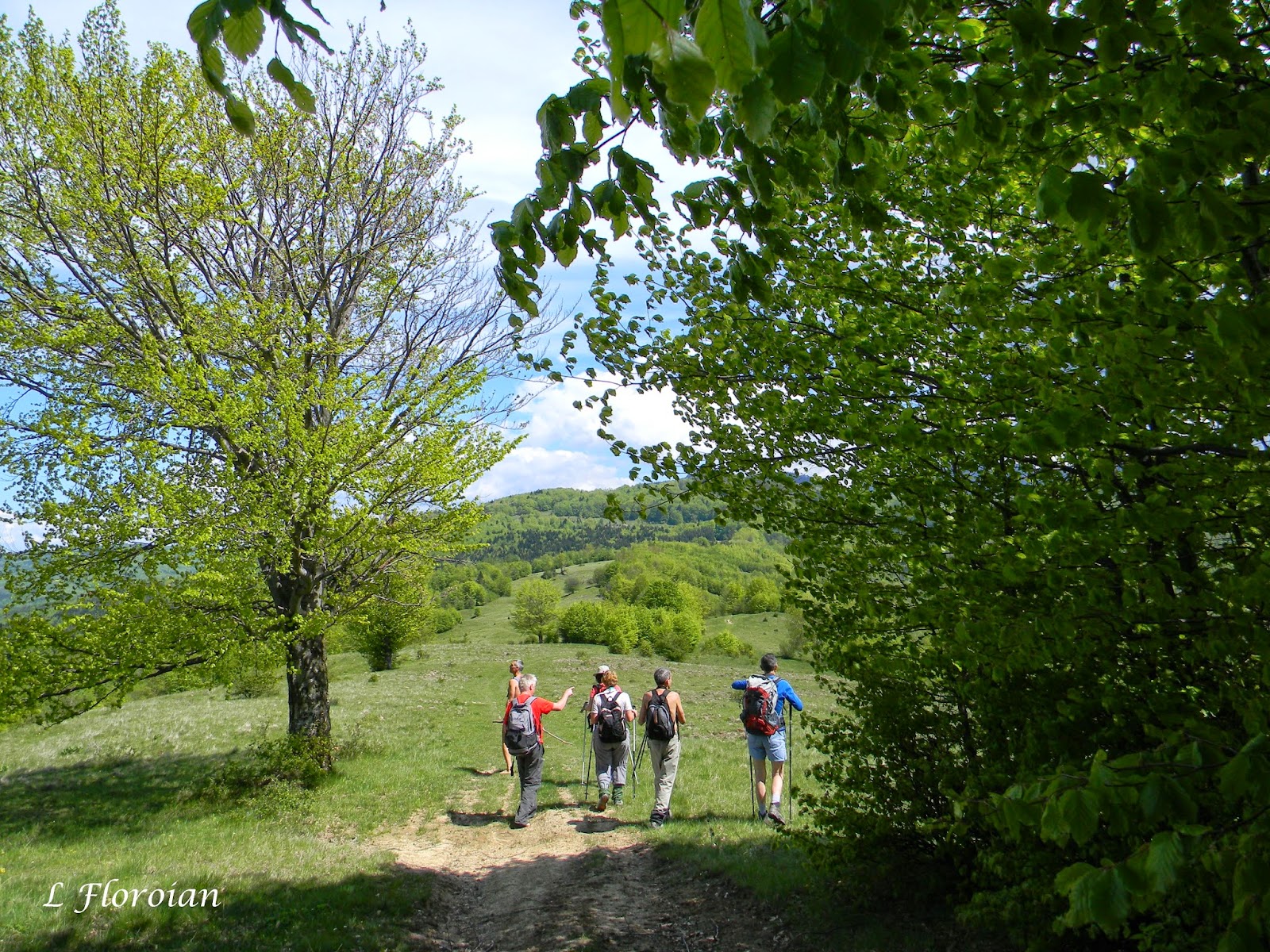 Blog de Calatorii si Drumetii Montane.: Drumetie pe dealurile de langa ...