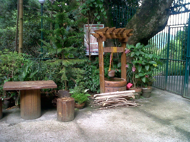 AN ESCAPE: LANIPAO RAINFOREST RESORT