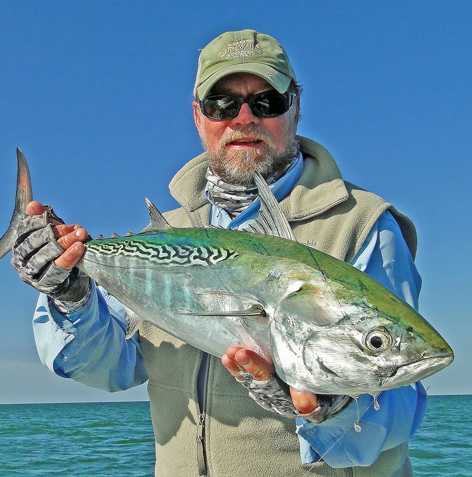 Southern Kayak Kronicles: Little tunny: Love at first bite!