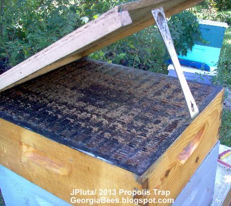 BEEKEEPING Beekeeper Honey Bees Pollen Wax Candle Propolis Queen Nuc ...