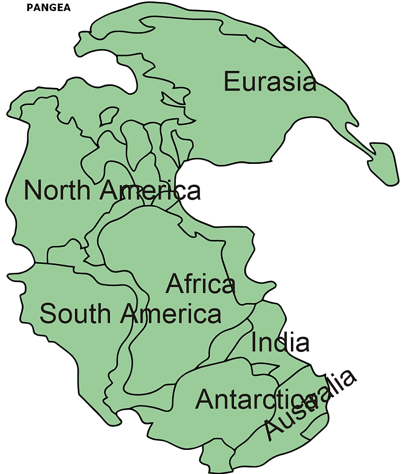 No PC Views: Continental Drift