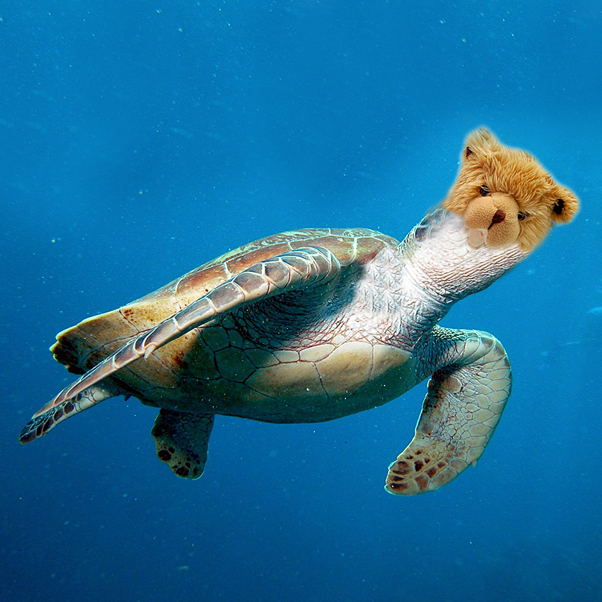 Woodland Shoppers Paradise: More Photoshop Phollies