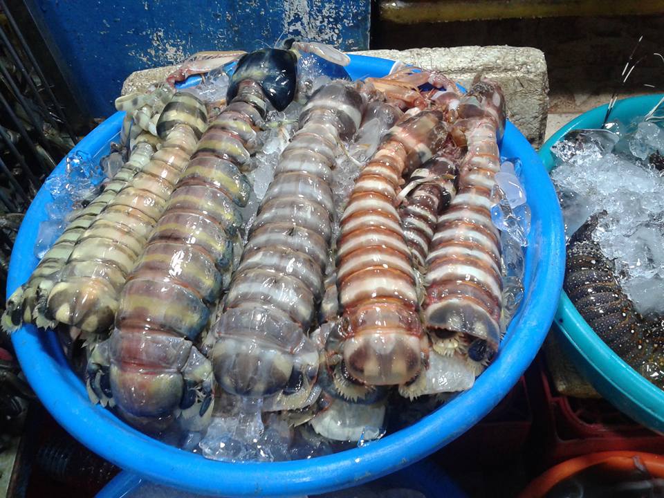 Pinay Mountain Chef: Cubao Farmer's Seafood Market