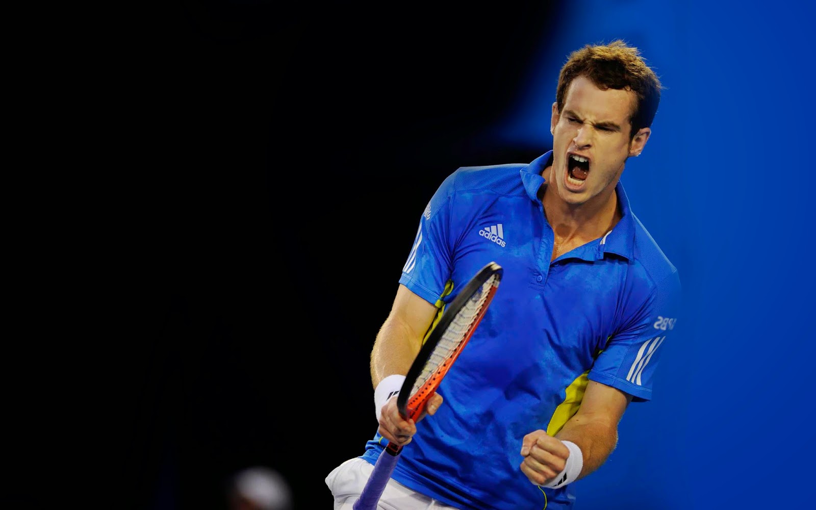 Andy Murray Brand New HD Desktop Wallpaper 2014-15 | World Tennis Star
