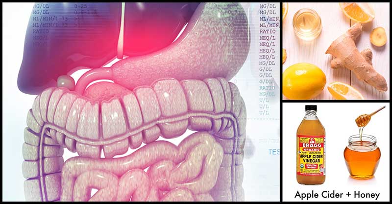 Natural Colon Cleansers That Are Worth The Try | Dr Farrah MD