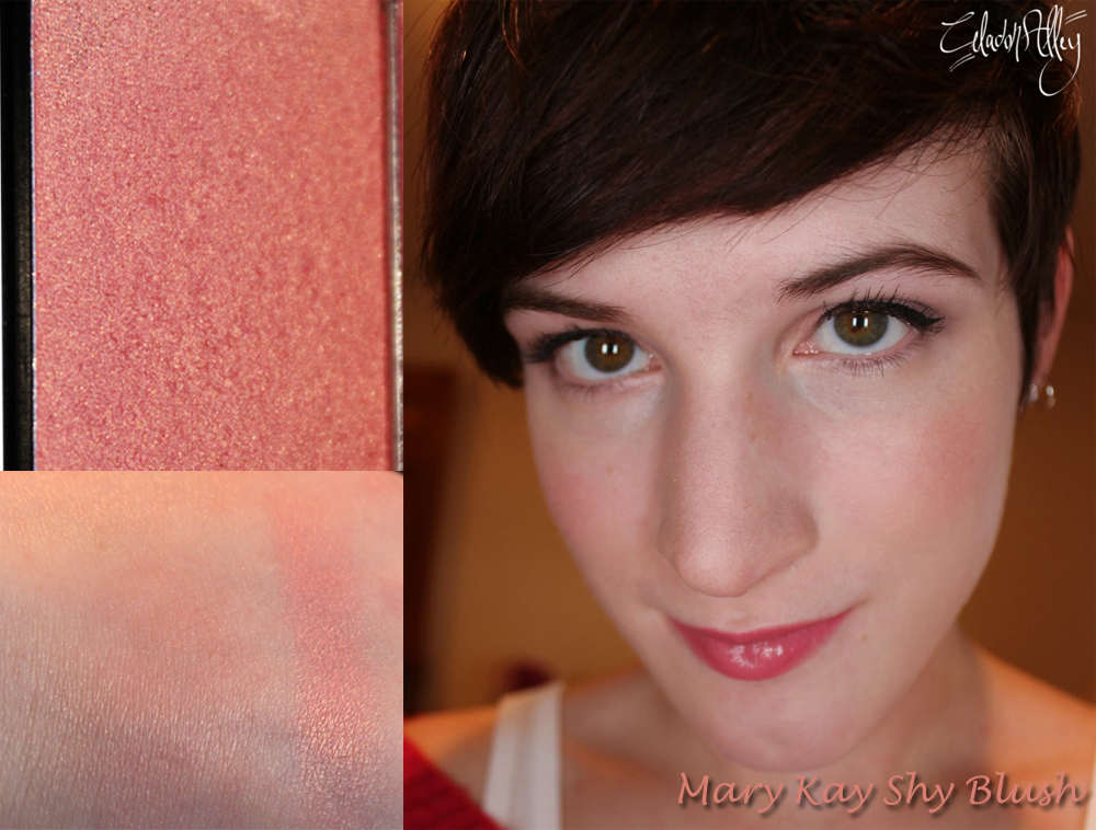 Celadon Alley: My Pitifully Tiny Blush Collection