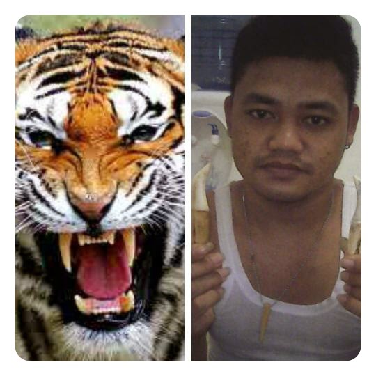 wahana pertanian: Siung Macan