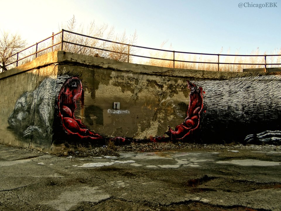 Chicago Est.1837: GREAT CHICAGO SCENERY PT. 4