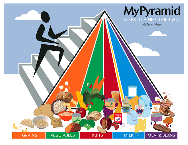 Science step by step: FOOD PYRAMID VIDEO