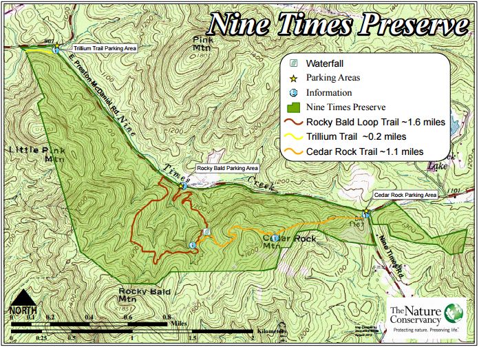 Femme au foyer: Spring comes to Nine Times Preserve