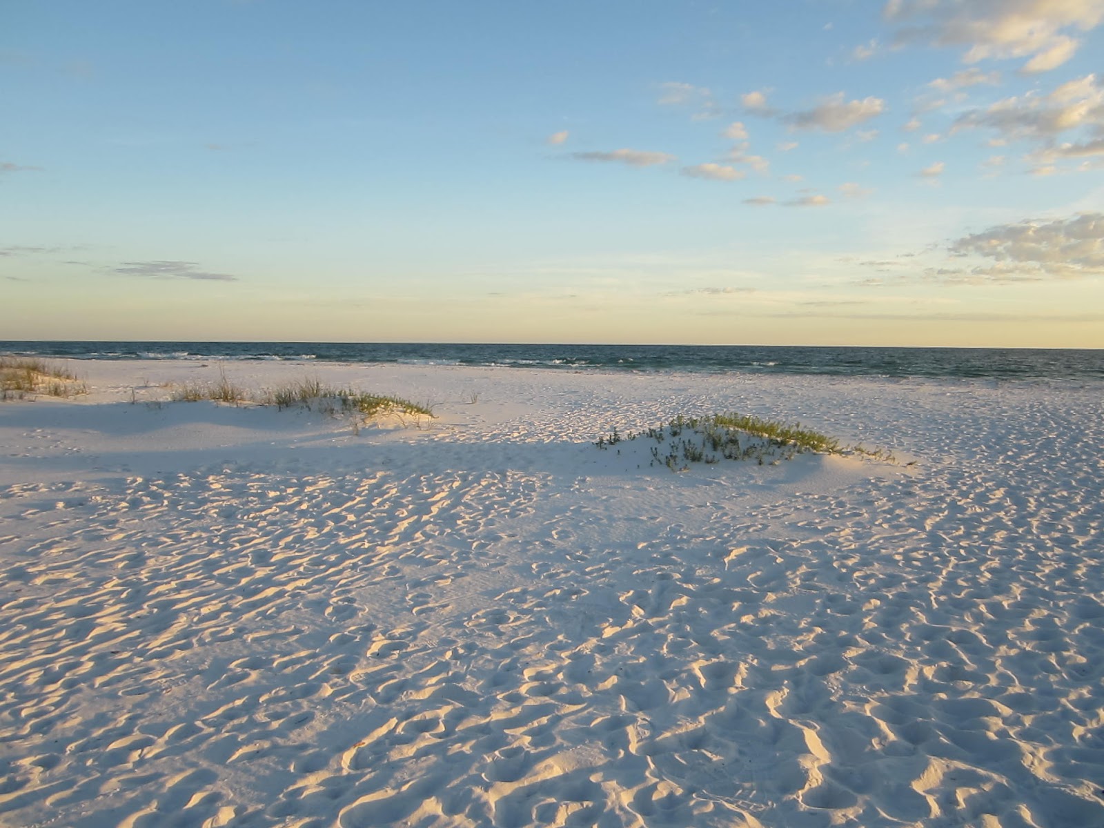 tumbleweeds: Gulf Islands National Seashore -Pensacola Beach