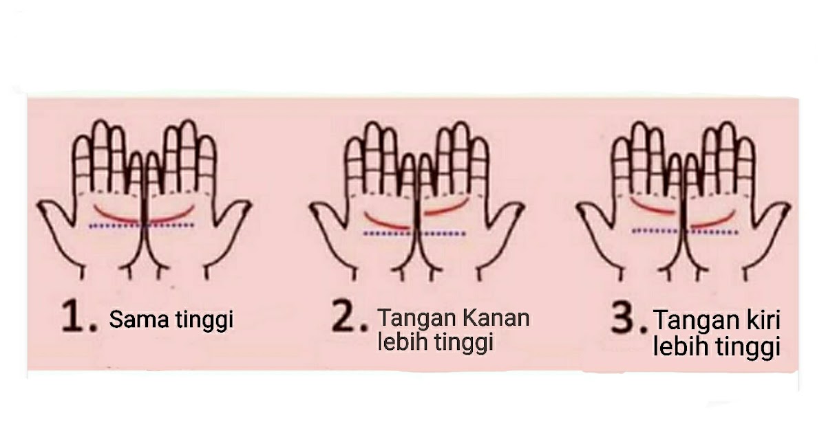 Informasi Terkini: Maksud Tersirat Garisan Tapak Tangan