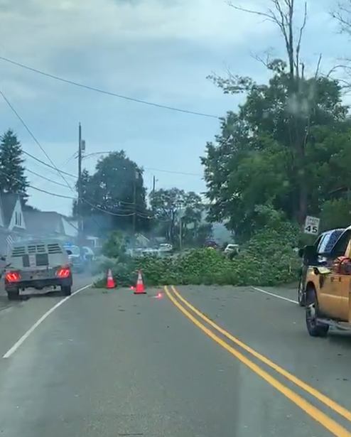 Cameron County PA News: Storm Damage