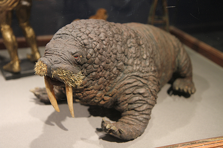 The Comic Book Literacy Documentary Blog: Top 5 at the Harryhausen Exhibit