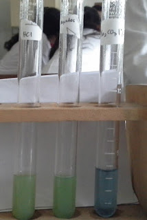 Praktikum Biokimia (Pengaruh pH Terhadap Aktivitas Enzim)