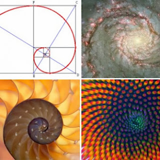 Angelina Wittmann - Arte-Cultura-História e Antropologia : Retângulo ...