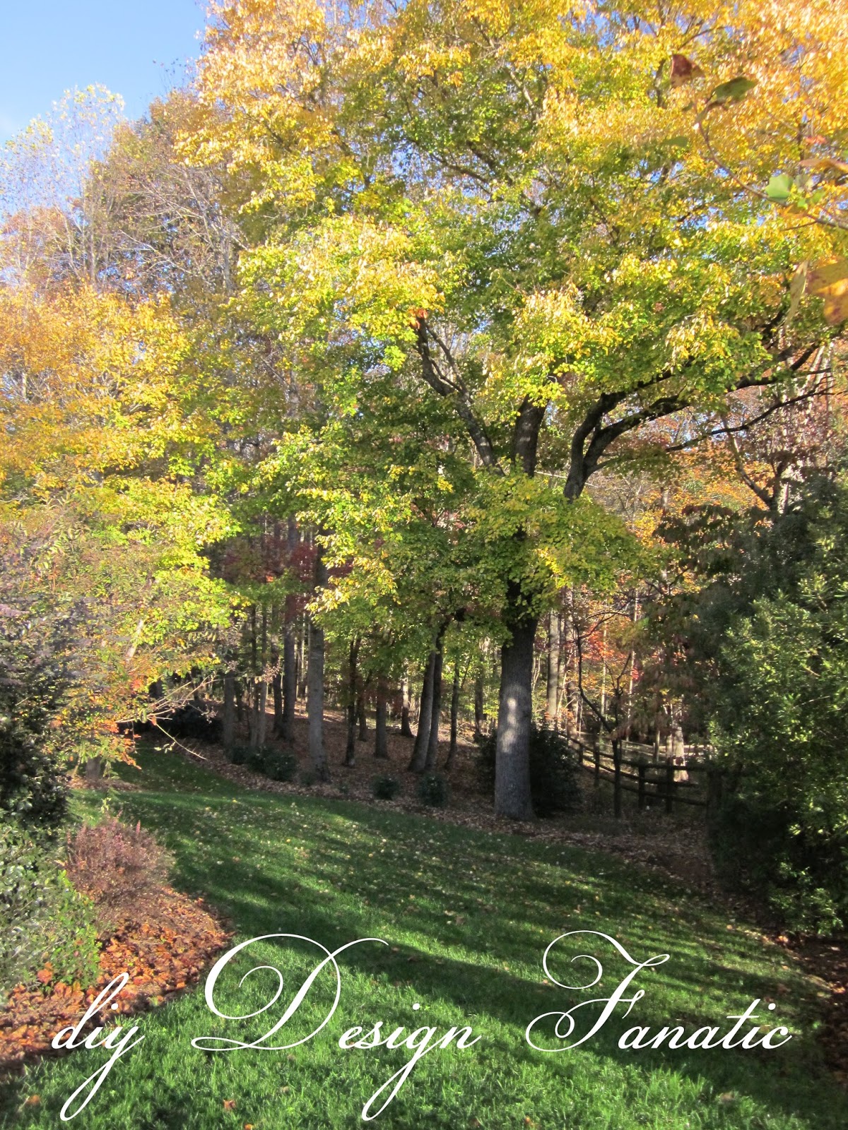 diy Design Fanatic: Looking Forward To Fall