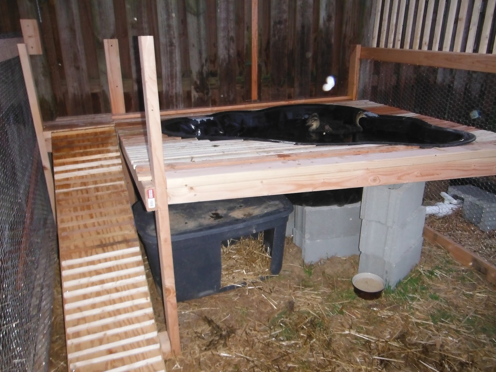 Suburban Backyard Farm: Turning our "yard" into a Farm