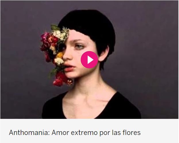 Olivilla-Olivilla: Anthomania