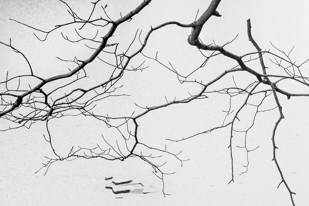 Tao Of Photography By Andy Ilachinski Nothing To Add Nothing To Take Away tao-of-photography-by-andy-ilachinski-nothing-to-add-nothing-to-take-away