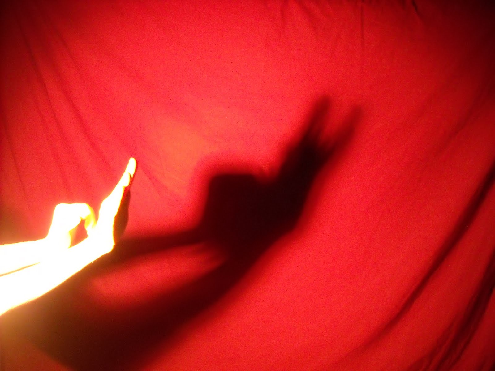 The Random Photograph: Hand Shadows