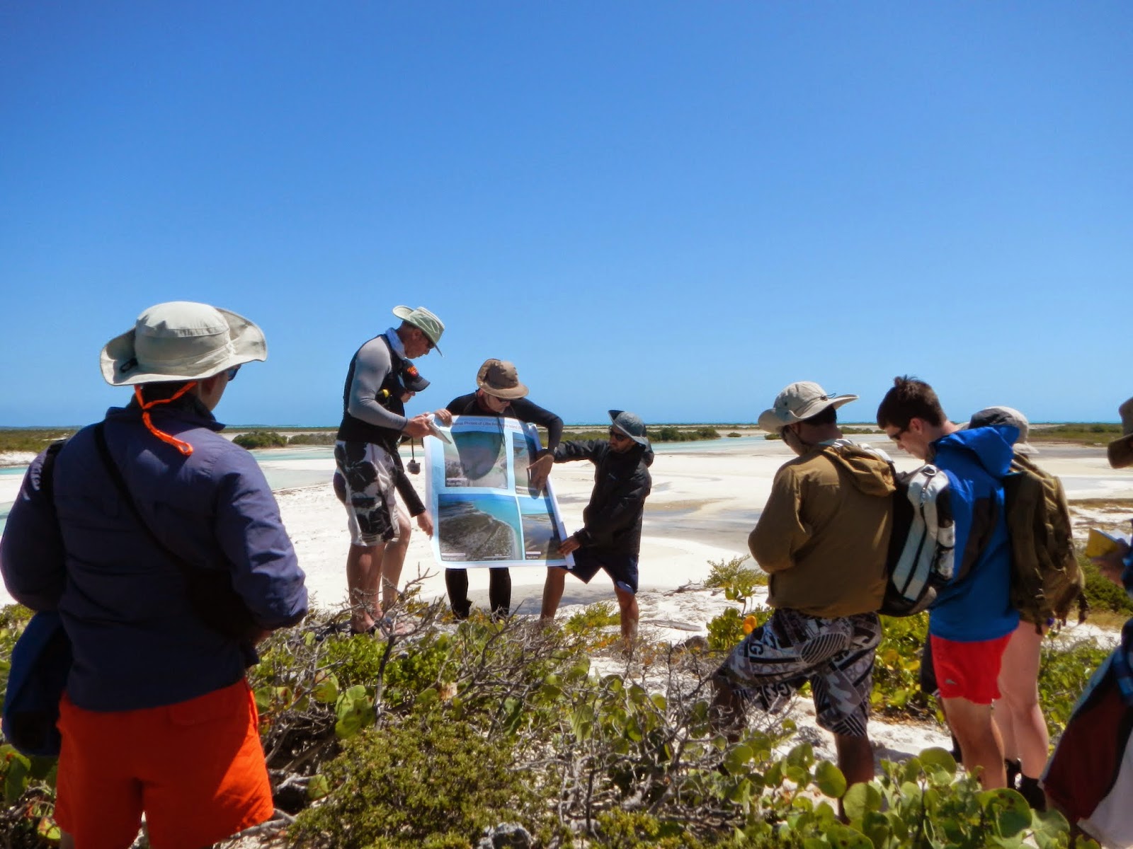 Finding Fossils...: Turks and Caicos Day 4- Ooid Shoal Day
