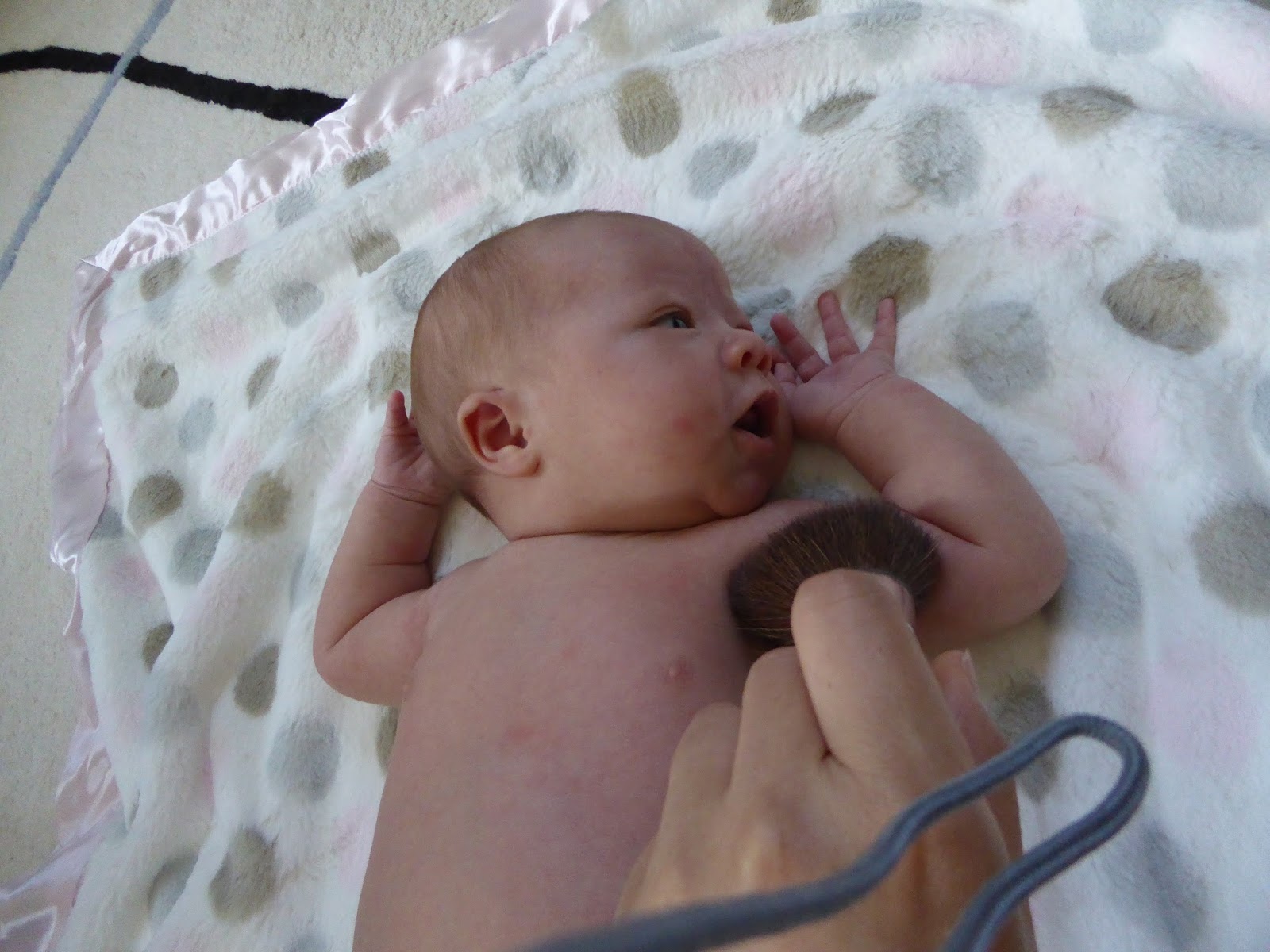 Family FECS: Dust Baby