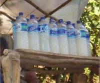 East Timor Law and Justice Bulletin: Alcohol Fueled Violence a Growing ...