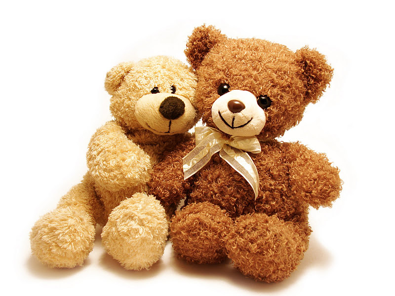 Little Love Always: Real Teddy Bear!!!