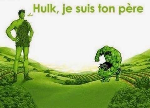 Le grenier du Faucon: Le géant vert