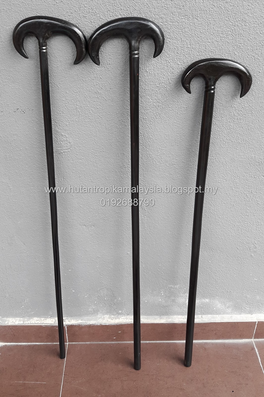 金山香料貿易 : Tongkat penawar hitam