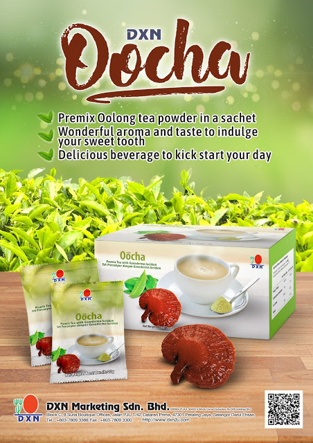 DXN Oocha - Té Oolong con Ganoderma lucidum de DXN | DXN Internacional ...