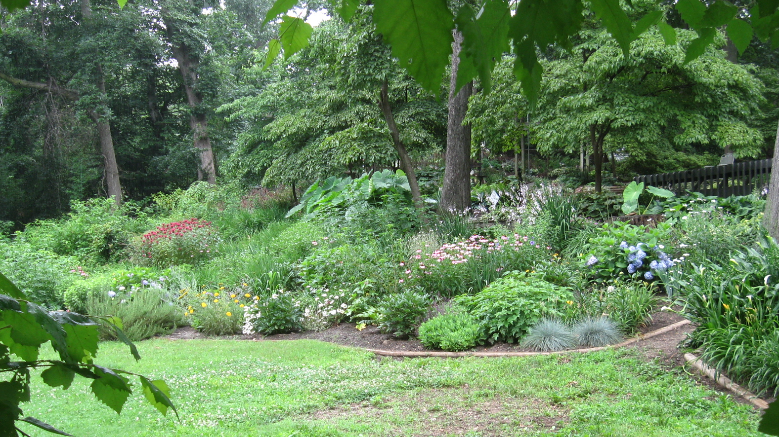 randuwa: My Neighbor's Gardens!