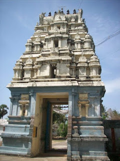 Azhinjal Tree - Nootreteeswarar Temple (Thiruvallur - Tamil Nadu) | My ...