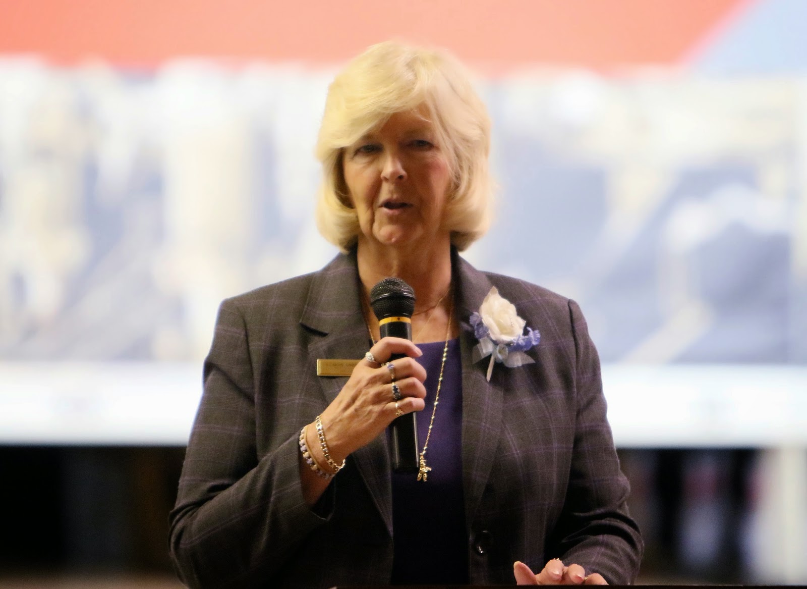 Mark Kodiak Ukena: Illinois State USBC Women's Bowling Tournament ...
