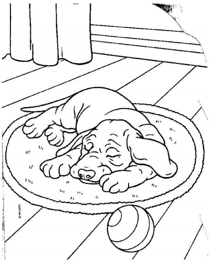 Planse de colorat si fise pentru copii: CATELUL - PLANSE de colorat cu ...