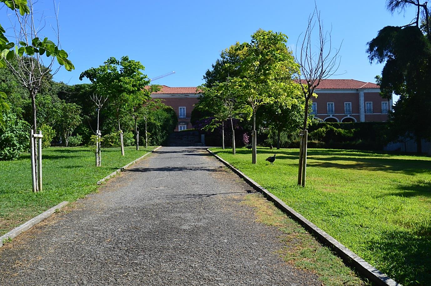 "Sua Maldade"...: "Palácio dos Condes da Calheta"...