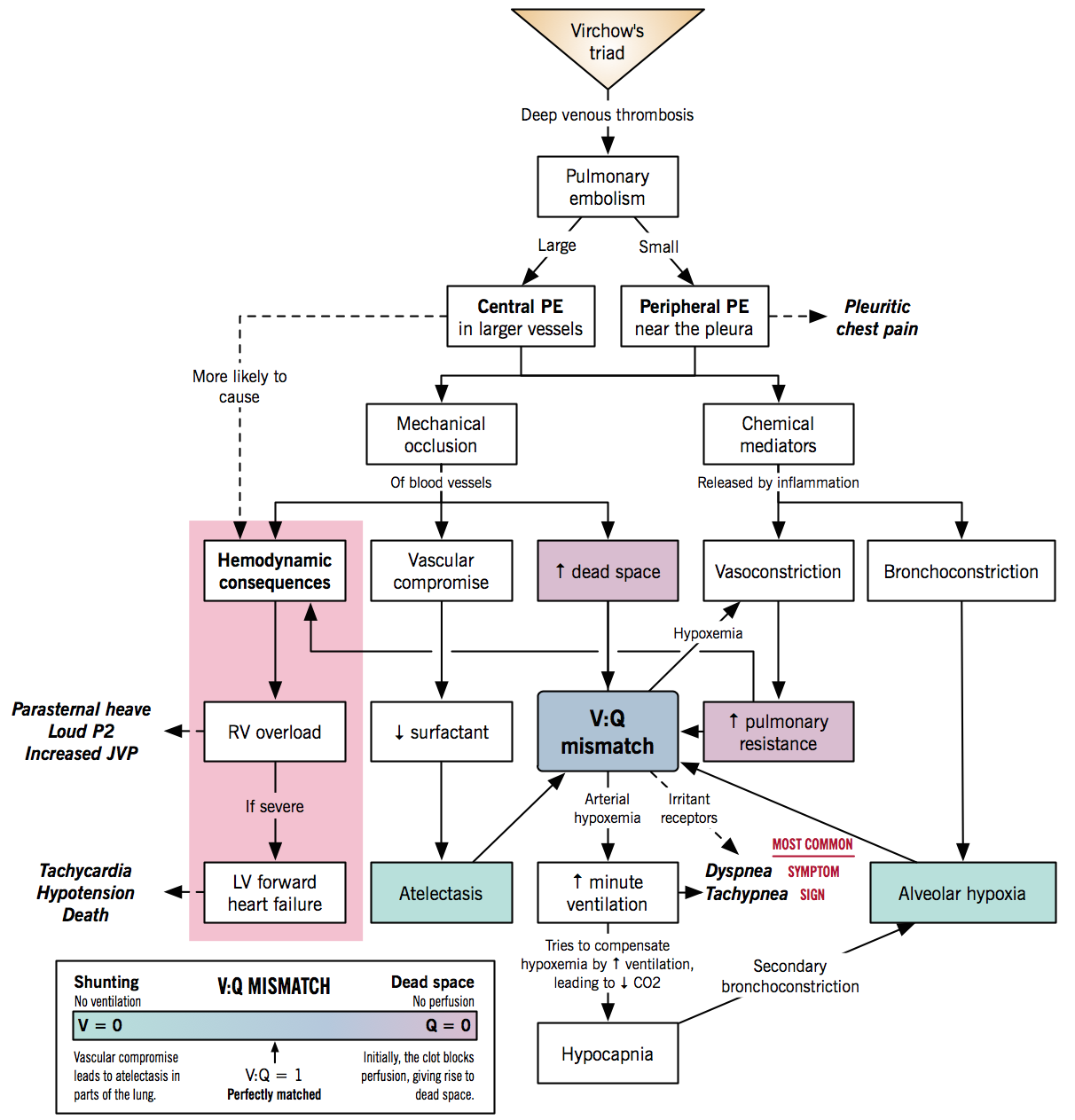 Manuali di Medicina Intensiva: Embolia polmonare - management e terapia ...