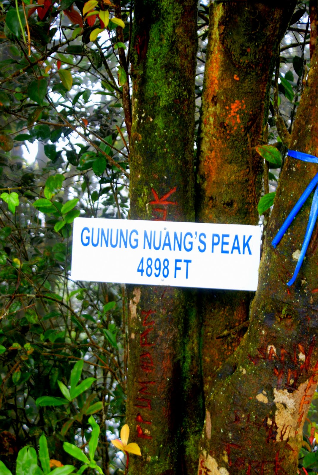 It's All About Me: My Gunung & Ganang